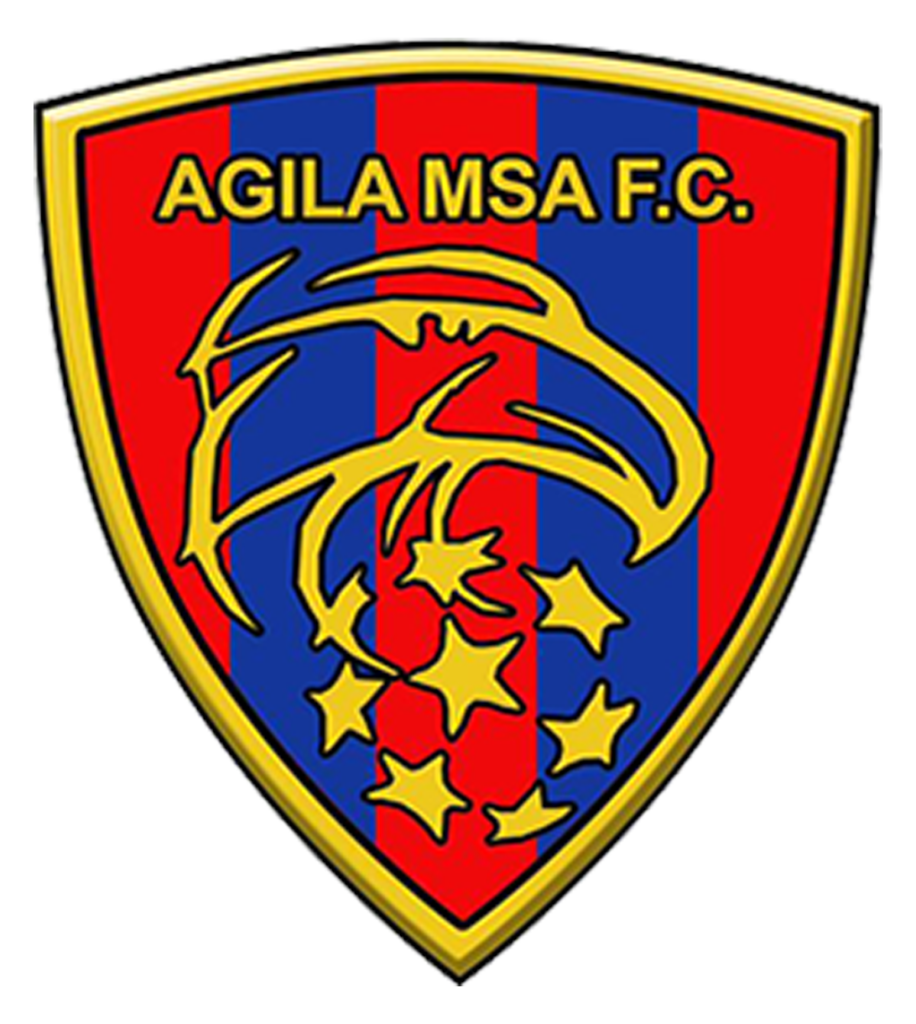 MSA FC – Youth Football League