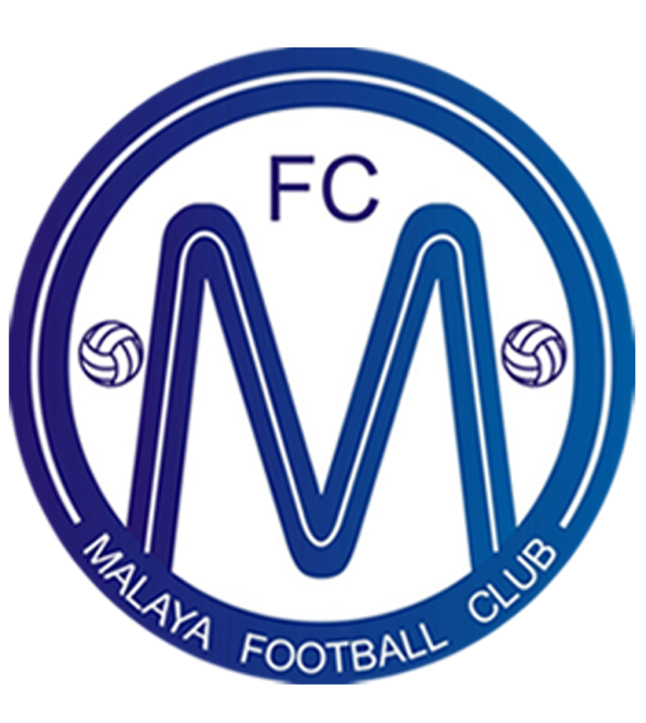 Match Results (YFL 2024) – Youth Football League